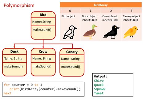 Polymorphism Computer Science