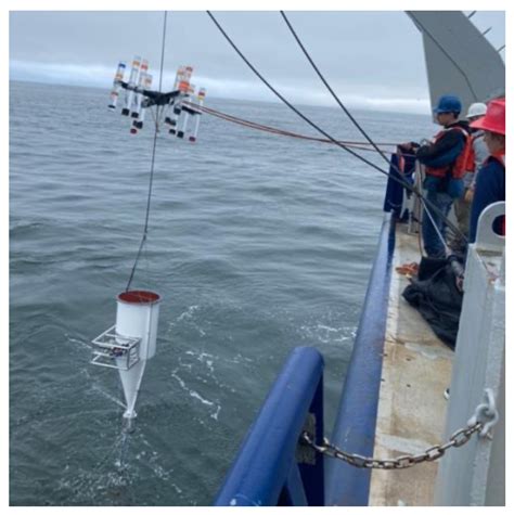 Internship Offer Analysis Of Sinking Particle Fluxes In The Ocean