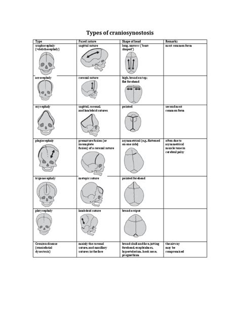 Types Of Craniosynostosis Pdf Animal Diseases Musculoskeletal