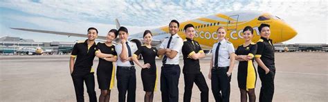 Scoot Cabin Crew Requirements Salary Benefits And How To Apply In 2026