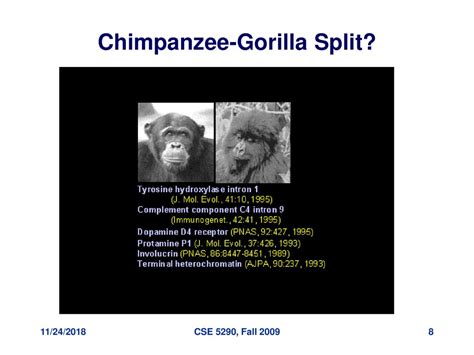 Cse 5290 Algorithms For Bioinformatics Fall Ppt Download