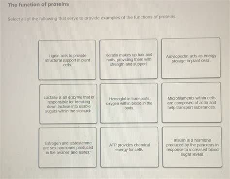 Solved The Function Of Proteins Select All Of The Following That Serve