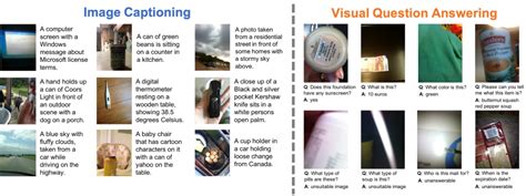 2021 Vizwiz Grand Challenge Workshop Vizwiz