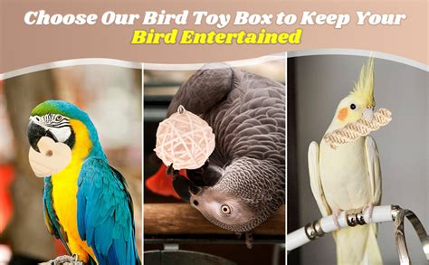 Large Style Bird Toys Box Bird Foraging Shredding Toys Box