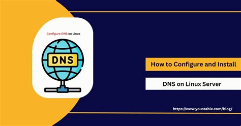 konfigurieren sie dns unter linux für eine zuverlässige domänenauflösung