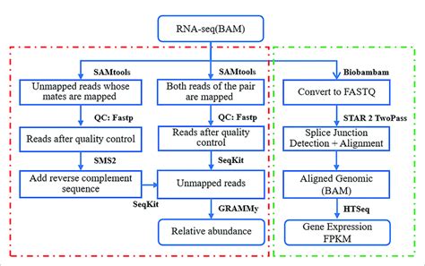 Flow Chart Of Rna Seq Sequencing Data Processing Download Scientific Diagram