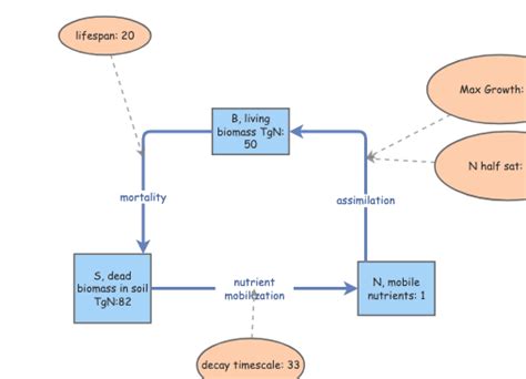 Midterm Terrestrial N Cycle Model Template Insight Maker