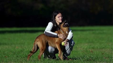 Секрети догляду за домашніми улюбленцями Youtube