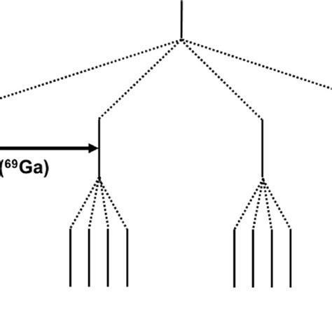 Figure S48 Splitting Tree Diagram Derived From Simulated Hyperfine