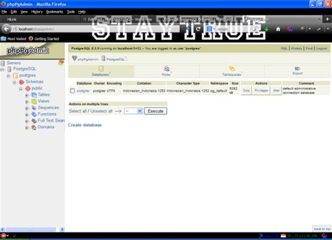 Install Postgresql Di Xampp Nrdskrvng