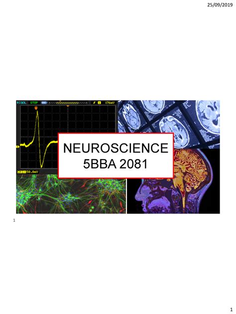 L1 Neuroscience Warning Tt Undefined Function 32 Neuroscience 5bba