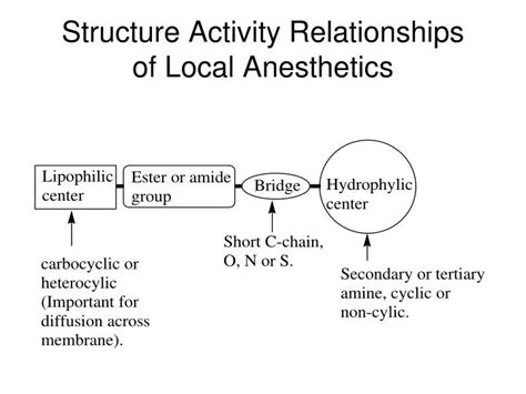 Ppt Structure Activity Relationships Of Local Anesthetics Powerpoint Presentation Id7053984