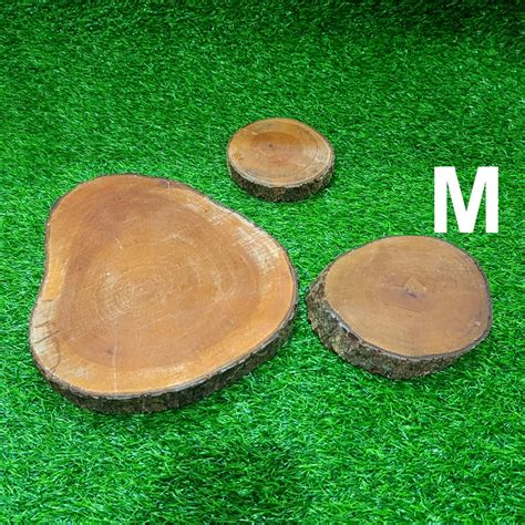 Log Slices M For Rent Smarty Party Creations