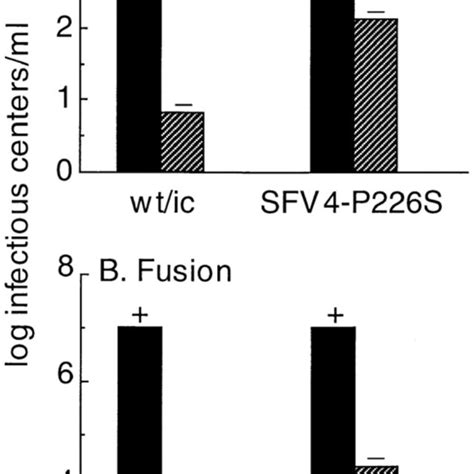 The Growth Properties Of Srf 3 Are Conferred By The E1 P226s Mutation Download Scientific