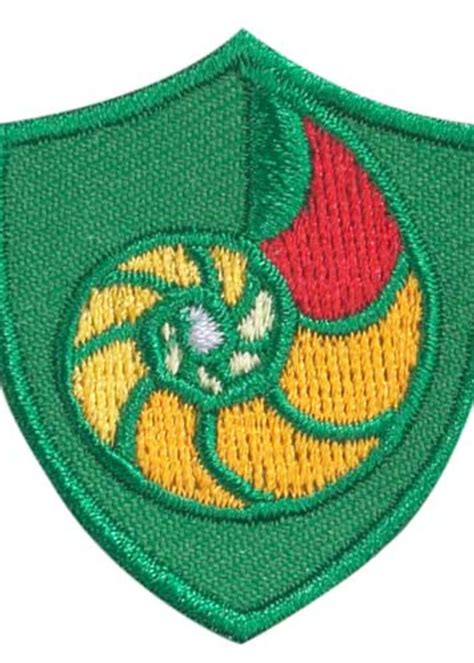 Crest Nautilus Shell Girl Scouts Of Middle Tennesee