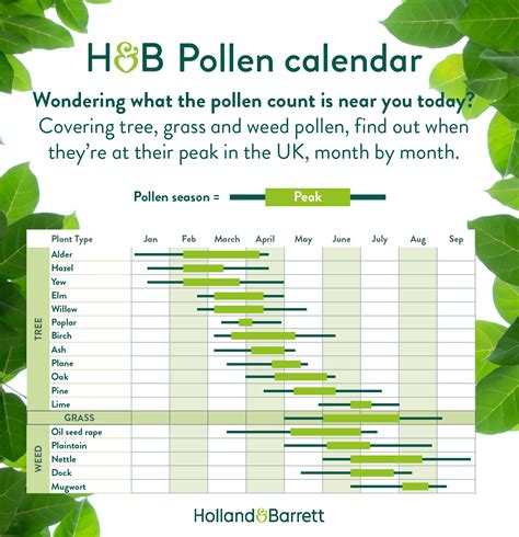 Tree Pollen Count