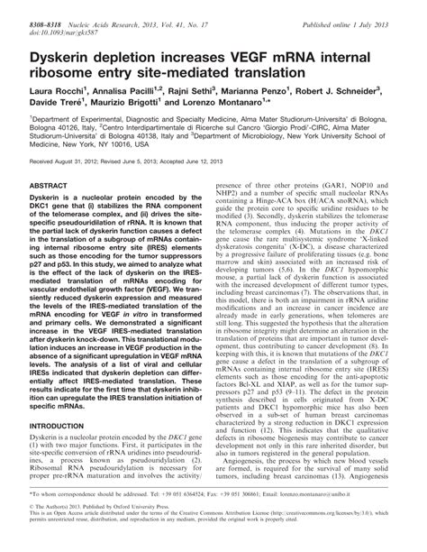 Pdf Dyskerin Depletion Increases Vegf Mrna Internal Ribosome Entry Site Mediated Translation
