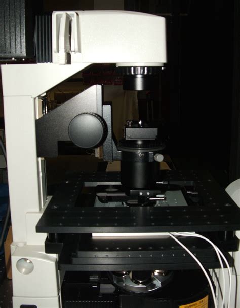 2 A Profile Image Of The Microscope Body Objective Turret Below Download Scientific Diagram