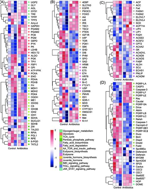 the hierarchical clustering heatmaps of selected degs related to energy