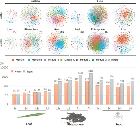 Microbial Co Occurrence Network Analyses Of Wheat Microbiomes A F Six Download Scientific