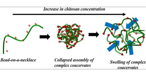 Unveiling The Electrostatically Driven Collapsing And Relaxation Of Polyelectrolytecolloid