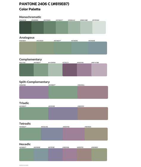 Pantone 2406 C Color Palettes