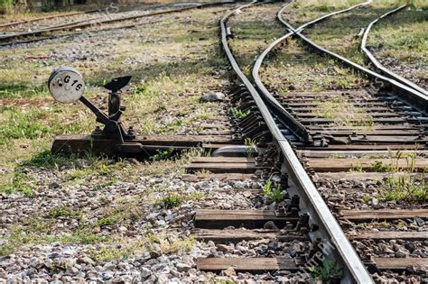 Modifying Orgjson To Handle Duplicate Keys By Harshal Parekh Medium