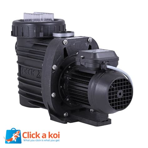Speck Pool Pump 230v 0 75kw Click A Koi Buy Koi Online Expert Koi Retailer