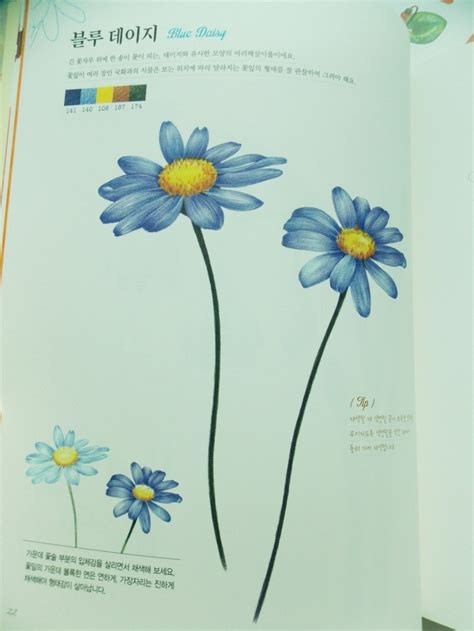 보태니컬 아트 쉽게하기 컬러링북색연필 컬러링 편 네이버 블로그