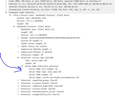 SNI Support For ClientWebSockets Issue Dotnet Runtime GitHub