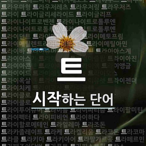 라로 시작하는 한방단어 상상 그 이상 라면으로 시작하는 일곱 가지 재미있는 레시피