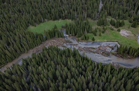 Yellowstone Damage Natgeo Outdoor Outdoor Decor Yellowstone
