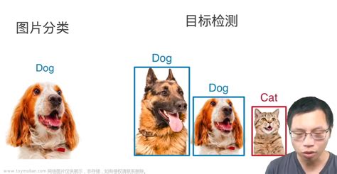 【动手学深度学习】 20目标检测和边界框 Toy模板网