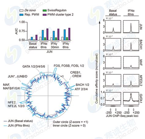 Figure的制作软件 技术专题 停用 广州赛诚生物科技有限公司 服务于您的核心利益！