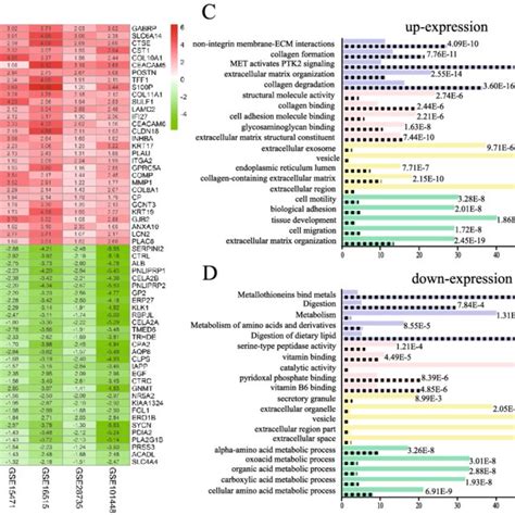 Identification Of Differentially Expressed Genes And Their Enrichment