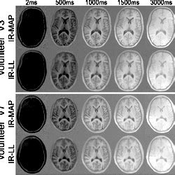In Vivo Images