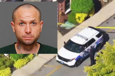 35 Facts About Zoom Murder