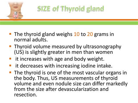 Anatomy Of Thyroid Gland Pptx