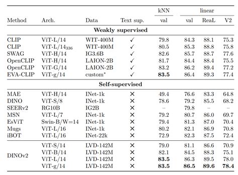 Dinov2 Visual Feature Learning Without Supervision
