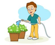 Uses Of Water For Watering Plants Clipart