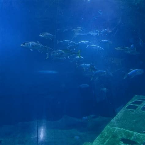 Welcome Back Breakthrough Transformation Trust