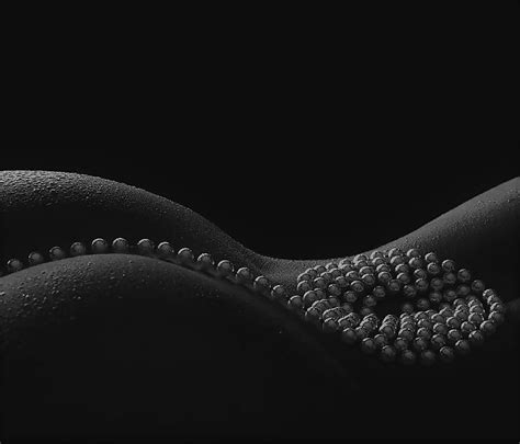 Teens And Babes Sexy Art Photo X Vid Com