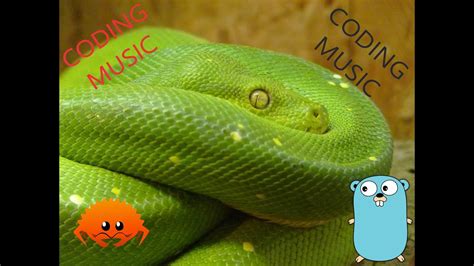 💻👨‍💻 Best Coding 🖥 Haching 👩‍💻 Programming Music 🔥 2020 Música