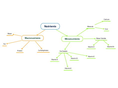 Nutrients Mind Map