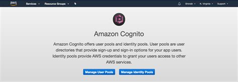 Setting Up Amazon Cognito For Elasticsearch Service And Kibana