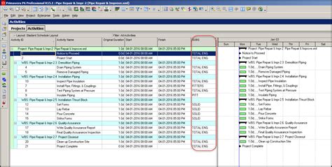 Translating Microsoft Project Custom Fields To Primavera P