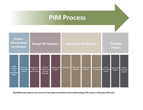 PIM Process PIM Guide