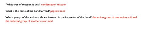 Protein Structure Properties A Level Biology Edexcel IAS 2 6 And AQA AS Biology Teaching