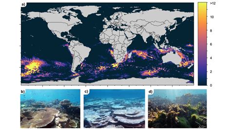 Remote Sensing In Managing Maintaining And Understanding Coral Reef