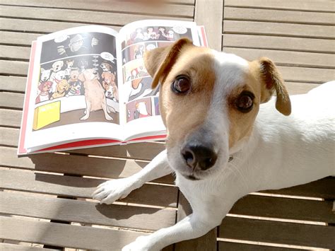 Cómic Las Aventuras De Pipper 2ª Edición Sitandplas